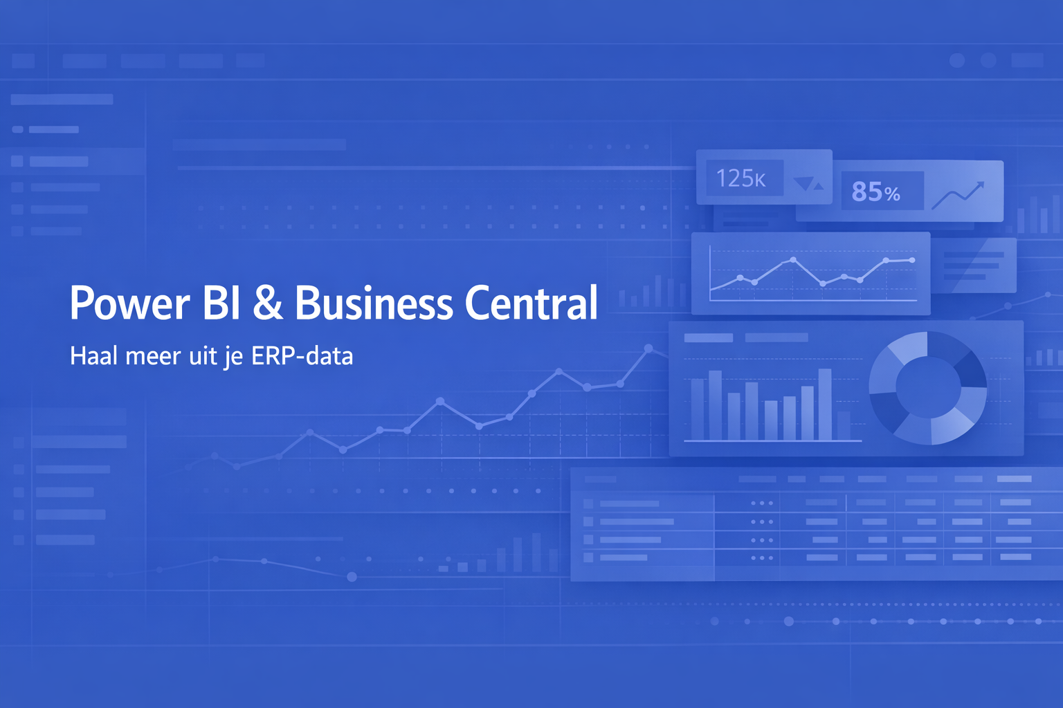 What is and can Power BI for ERP software such as Business Central ...